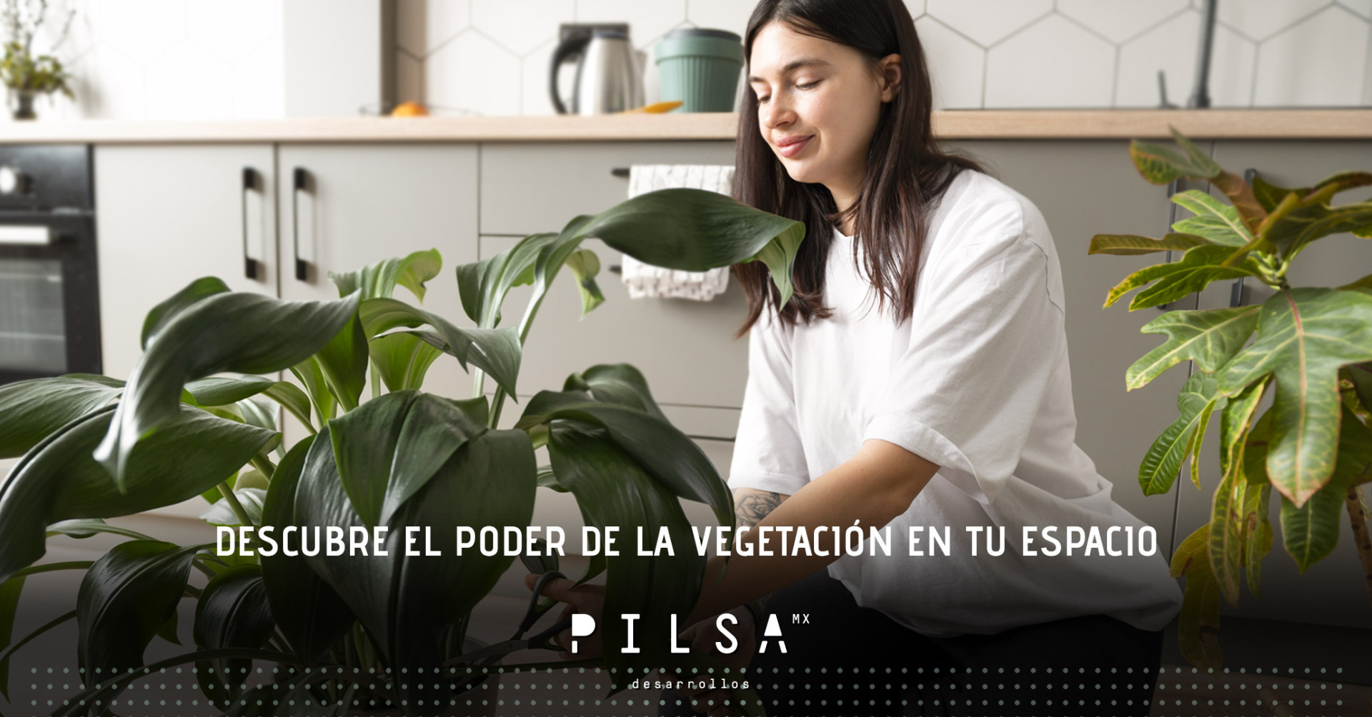 Somos Pilsa, una empresa desarrolladora que ha redefinido el estilo de ...