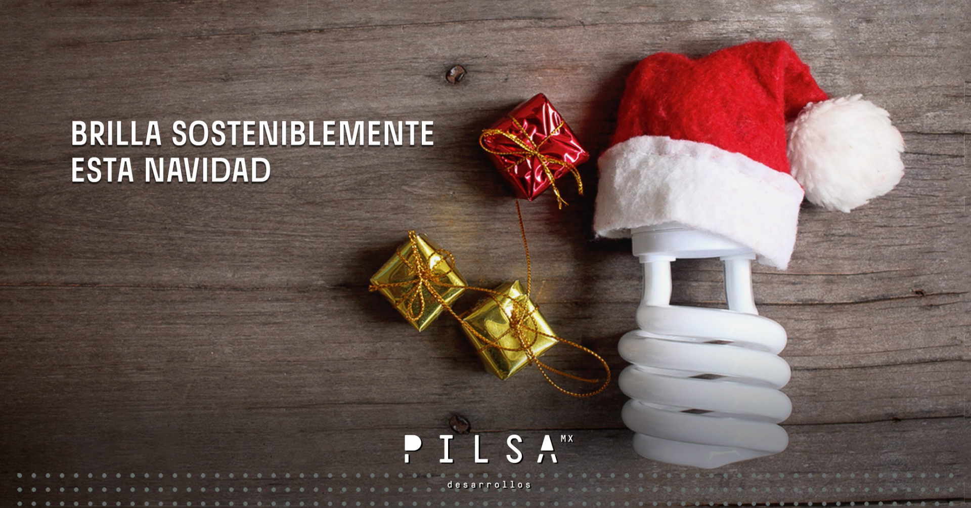 Somos Pilsa, una empresa desarrolladora que ha redefinido el estilo de ...